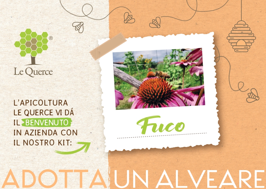 Le esperienze - Il Fuco - Le Querce